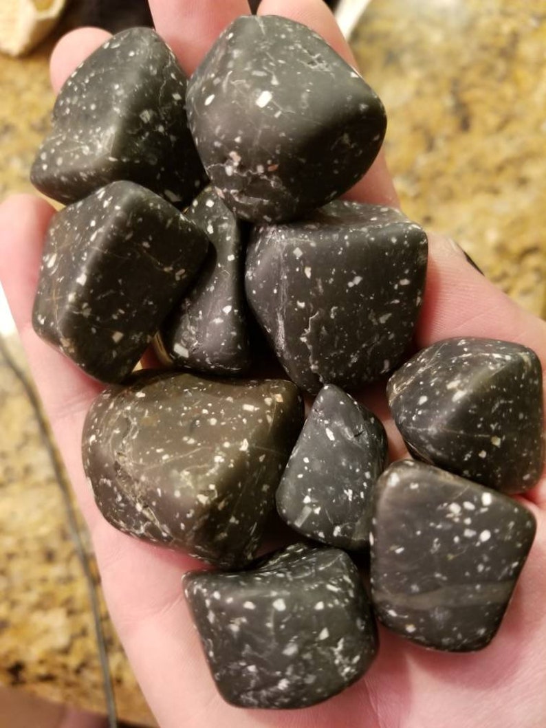 Black Spotted Jasper Tumbled Stone 1-piece Spotted Jasper - Etsy