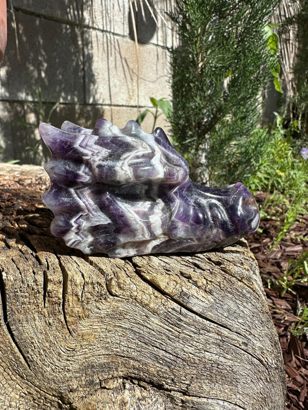 Large Chevron Amethyst Dragon Skull / Natural Crystal Carving | Dragon ...