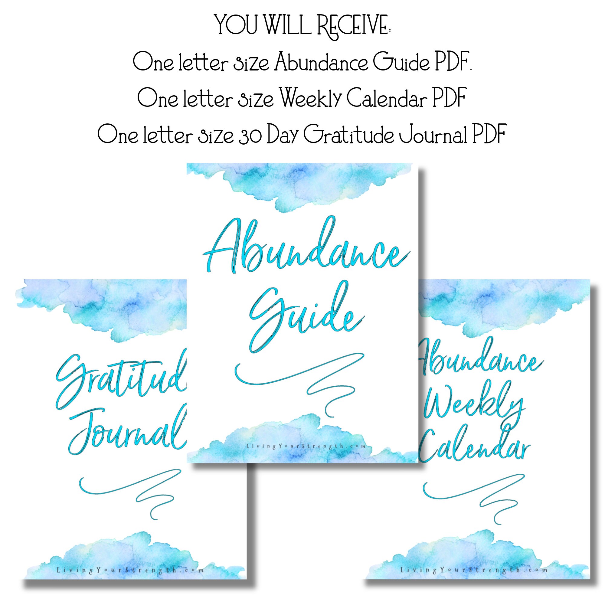 Abundance Manifestation Guide Printable/ Law of Attraction Guide - Etsy