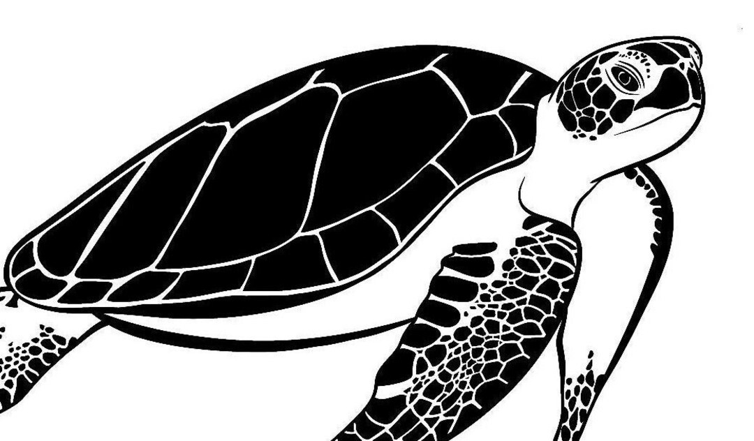 Detailed Sea Turtle SVG for Cricut Silhouette Die-cut - Etsy