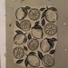 Lemon Fruit Citrus Pattern Lino Print Art Decor Slices Wall Poster Gift ...