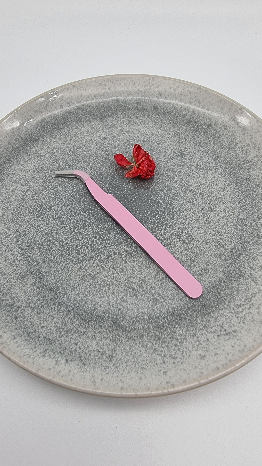 Crafting Tweezers, Precision Stainless Steel, Curved Tweezers, Dried ...