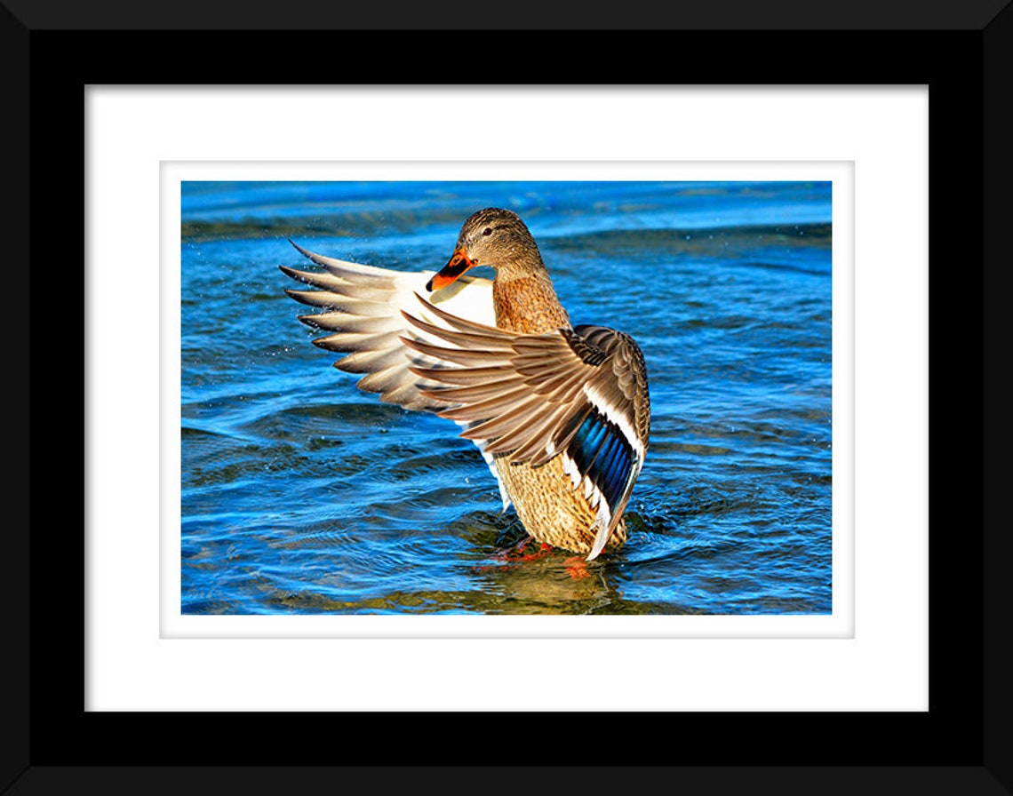 Duck Print Instant Download, Duckling Print, Duck Printable Art, Nature ...