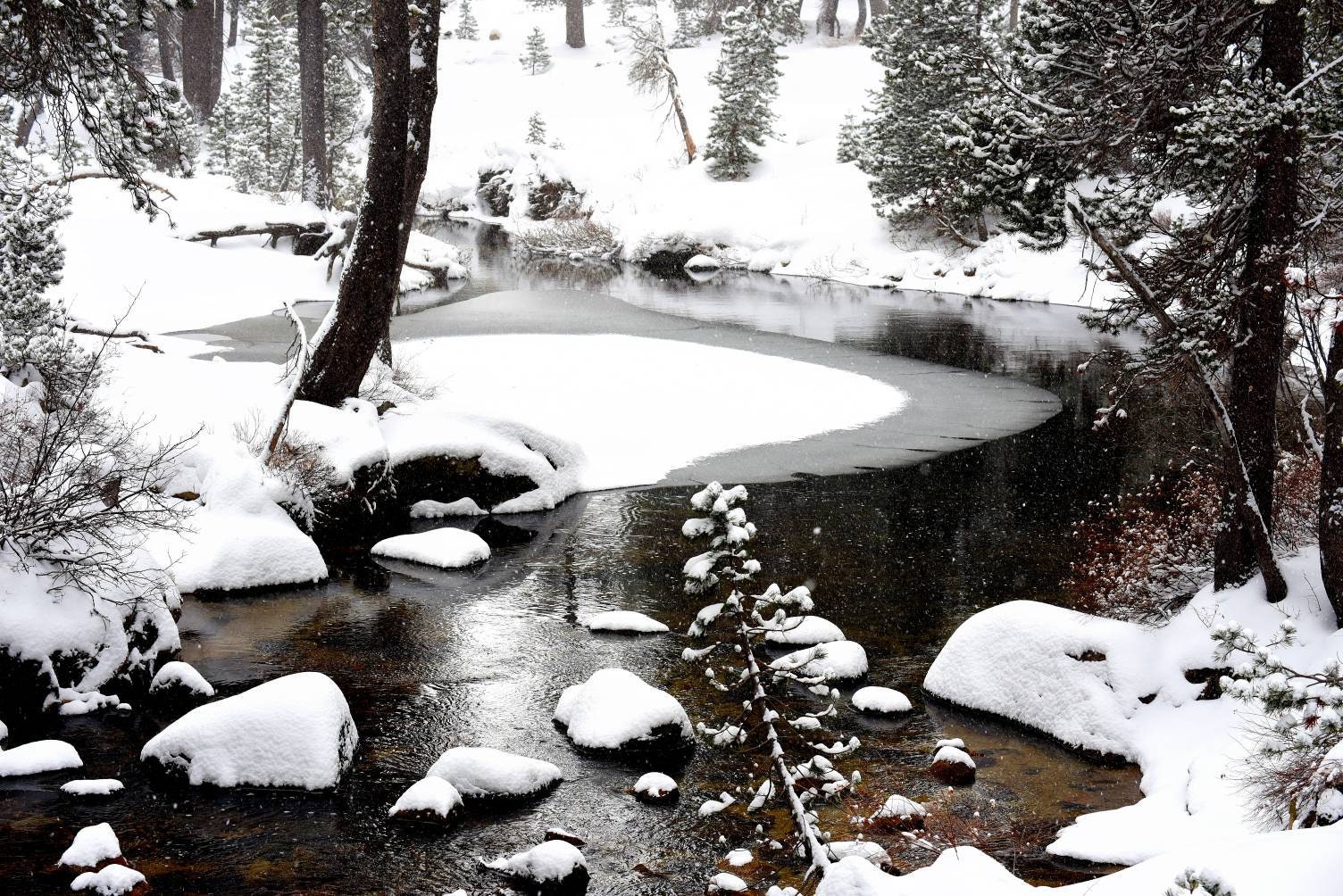 Winter Wonderland, Nature Decor, Nature, Winter Pictures, Winter, Snow ...