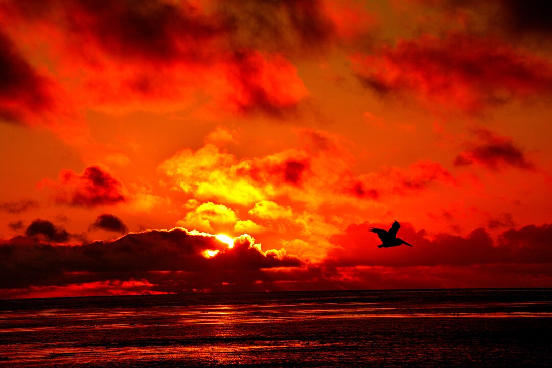 Sunset Sky Art, Bird Wall Art, Dusk Sky Print, Beautiful Sunset Wall ...