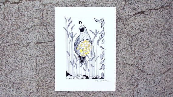 Quail line art pen and ink drawing nature art bird print | Etsy