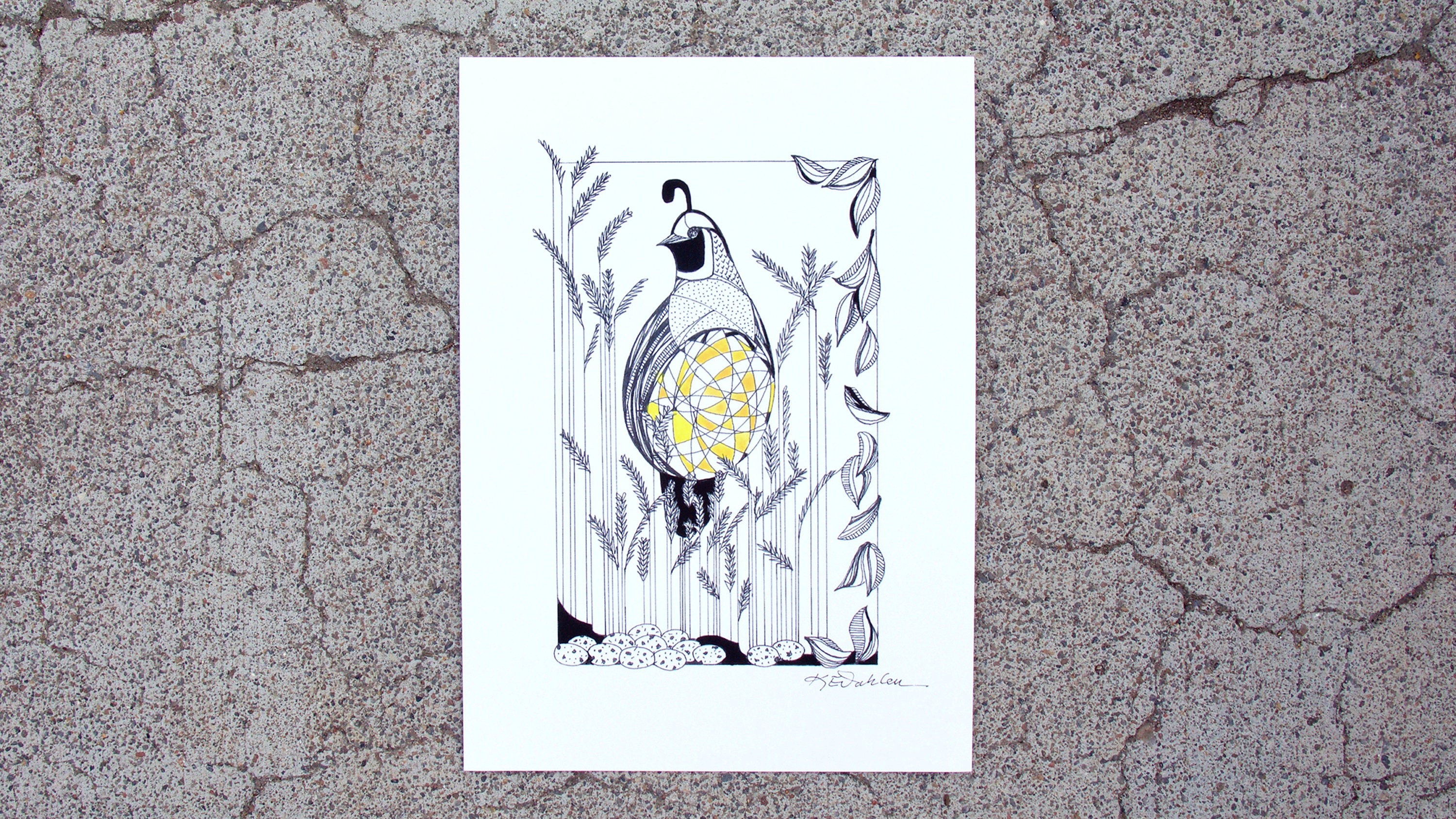 Quail Line Art Pen and Ink Drawing Nature Art Bird Print - Etsy Singapore