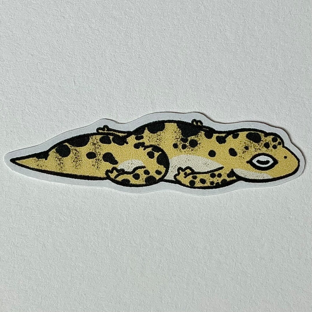 Keke Sticker - Leopard Gecko Sploot - Etsy