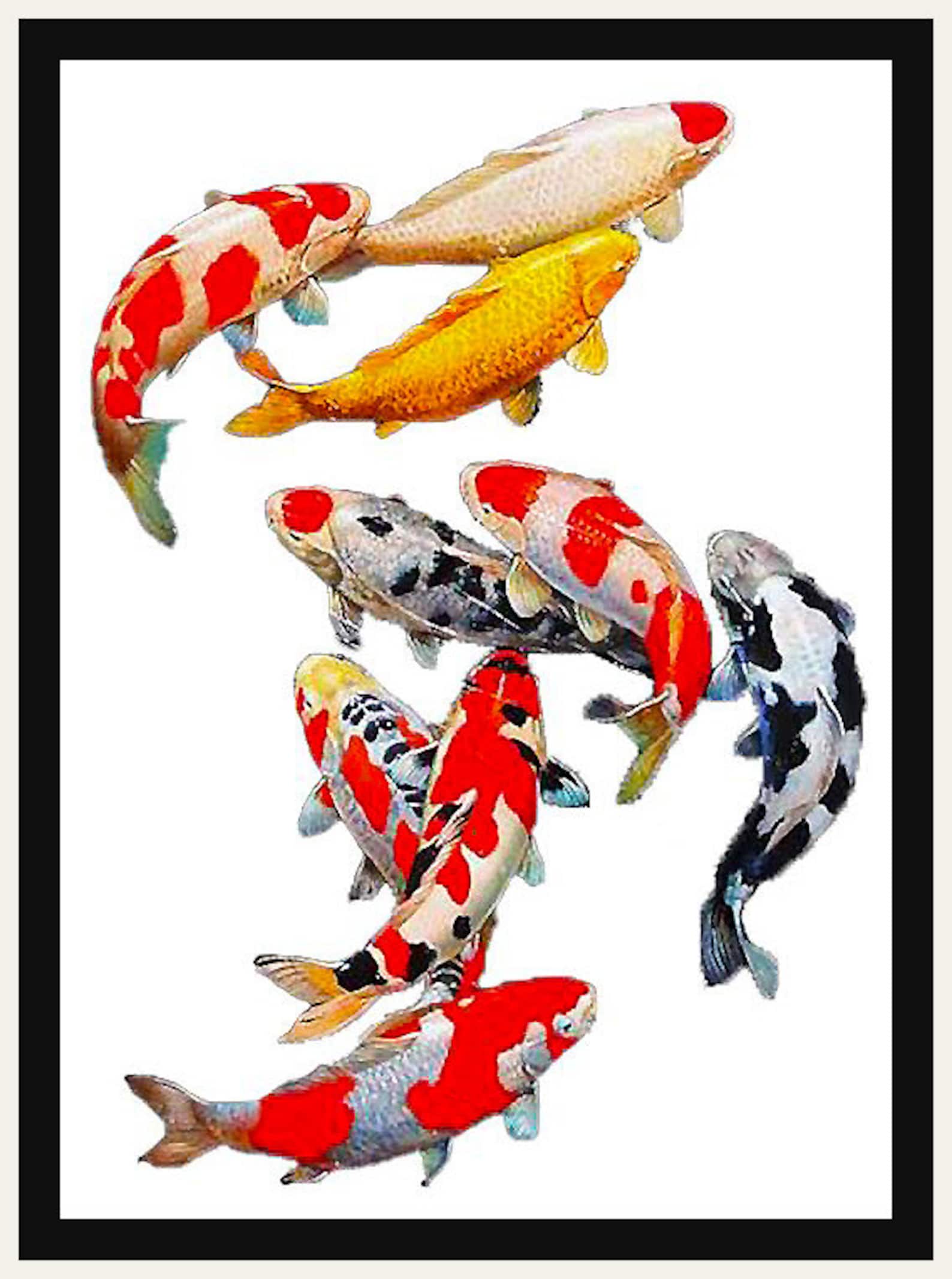 10 Lucky Koi Instant Download / Digital File/ PDF file | Etsy