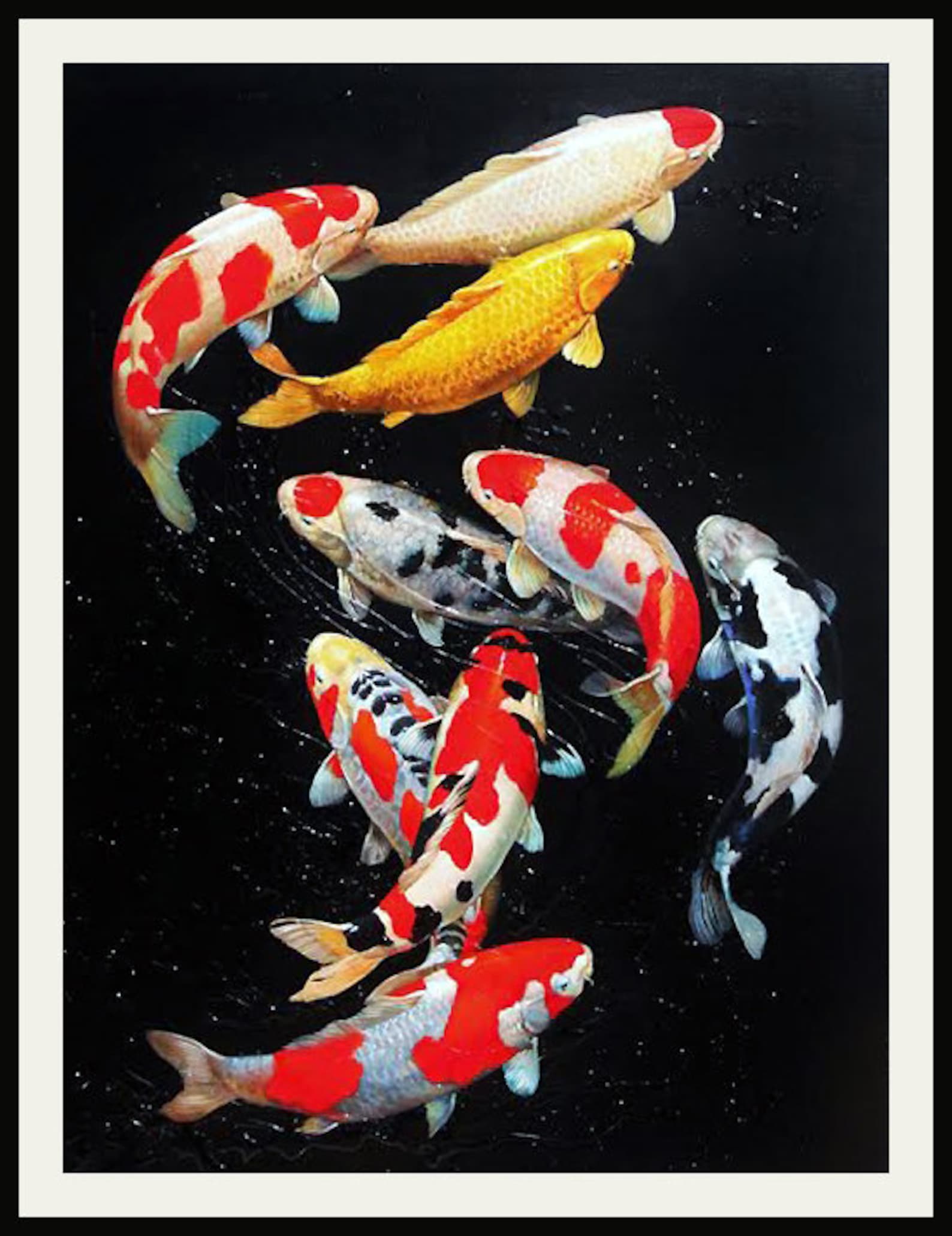 10 Lucky Koi instant Download / Digital File/ PDF File - Etsy