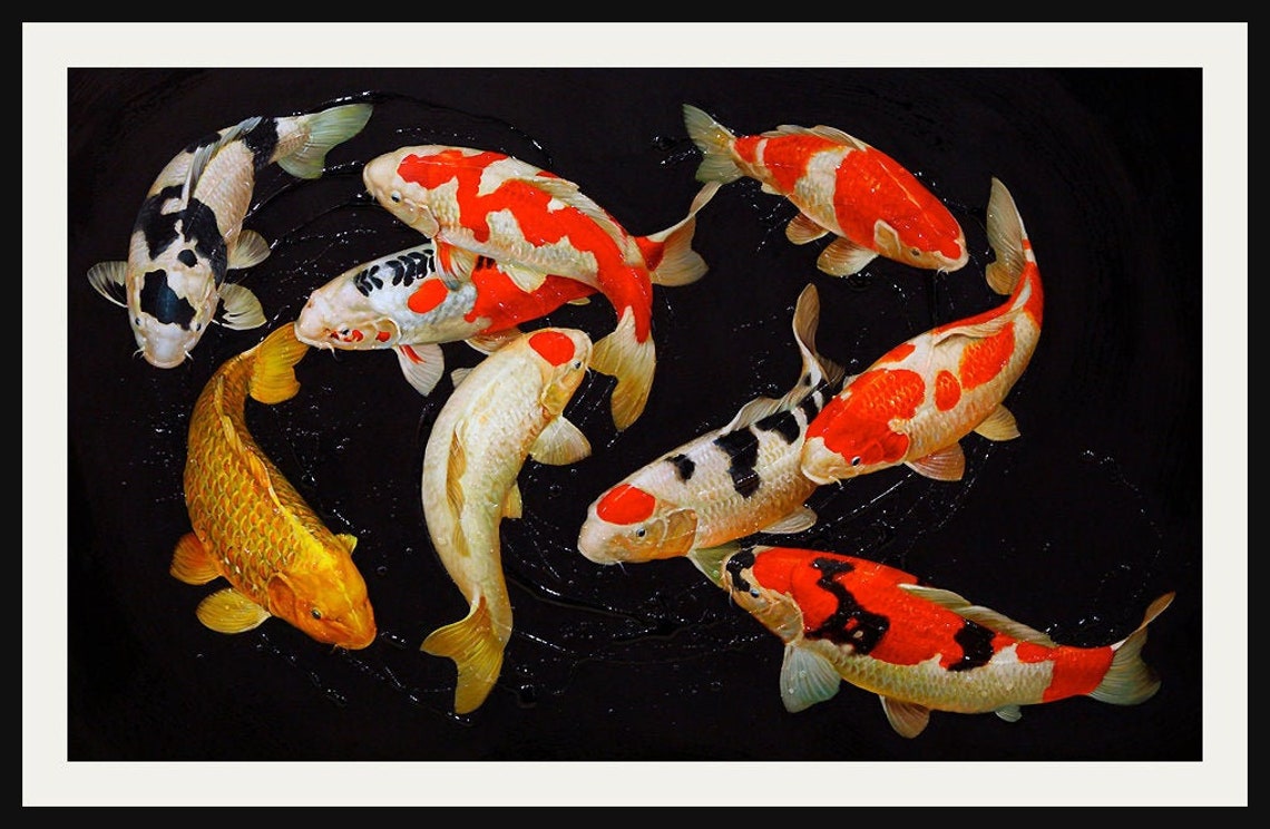 9 Lucky Koi 2 instant Download / Digital File/ PDF File /digital ...