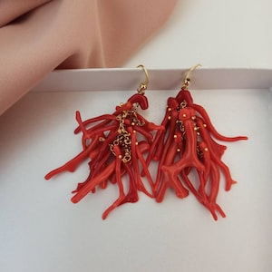 Red branch Coral cluster earrings | Etsy
