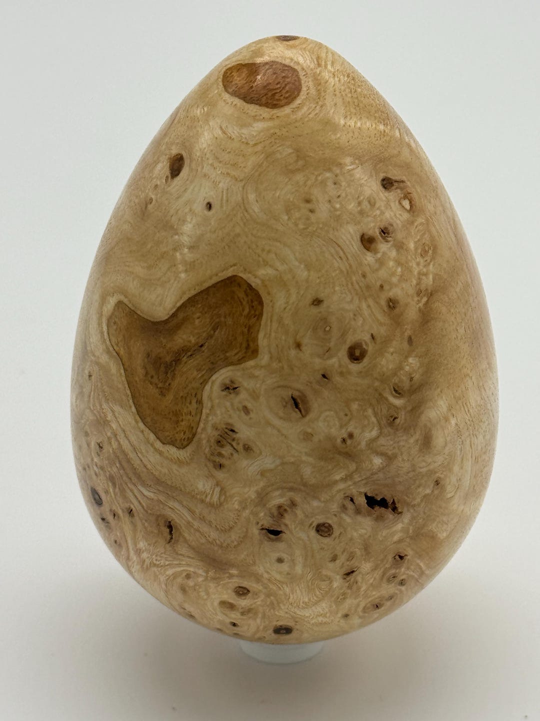 Jumbo Ash Burr Wooden Egg - Etsy