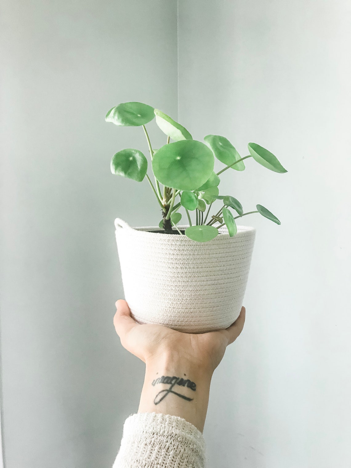 Tiny Plant Pot Small Plant Basket for 4inch Plant Pot | Etsy