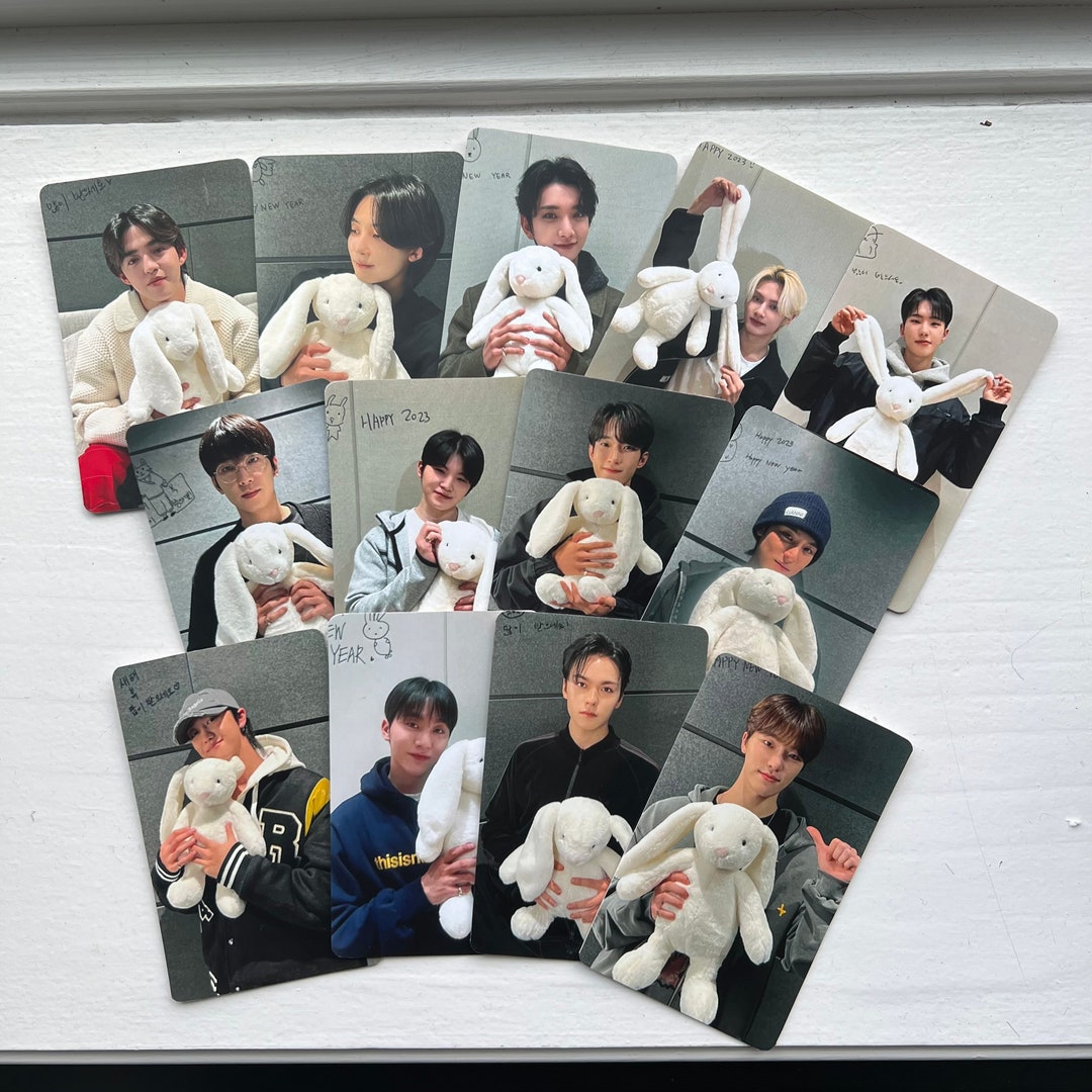 Seventeen Year of the Rabbit Bunny Photocards - Etsy