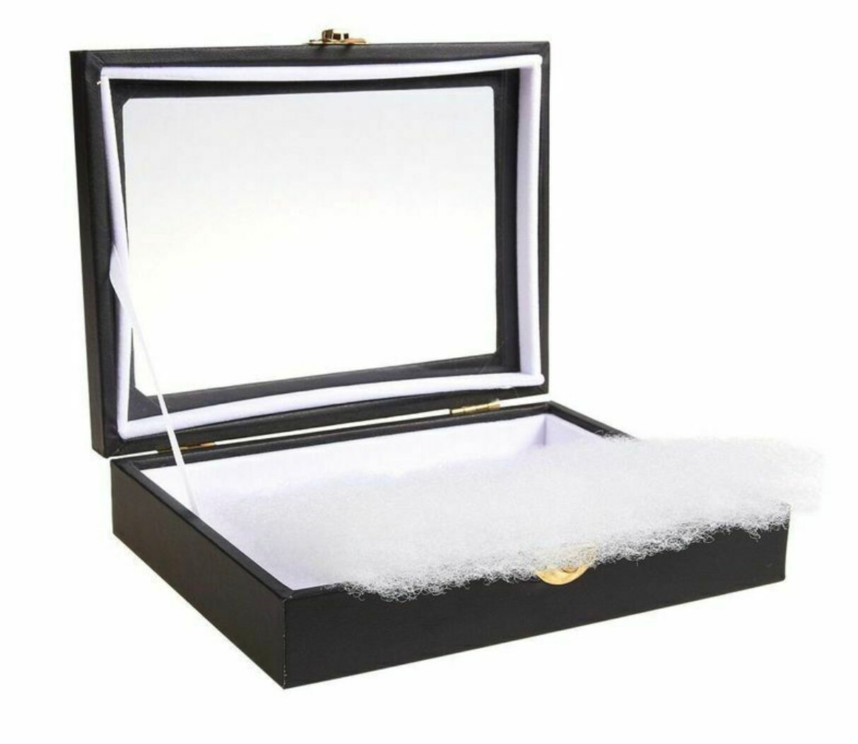 Insect Display Case Bug Display Box With Glass Window and Secure Riker ...