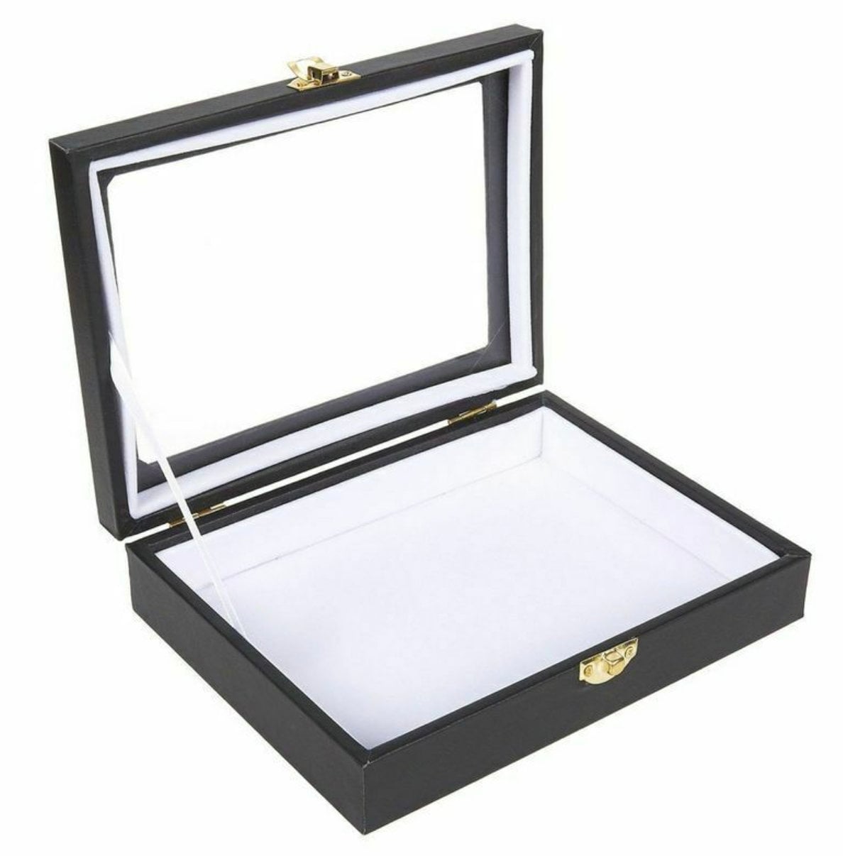 Insect Display Case Bug Display Box With Glass Window and Secure Riker ...