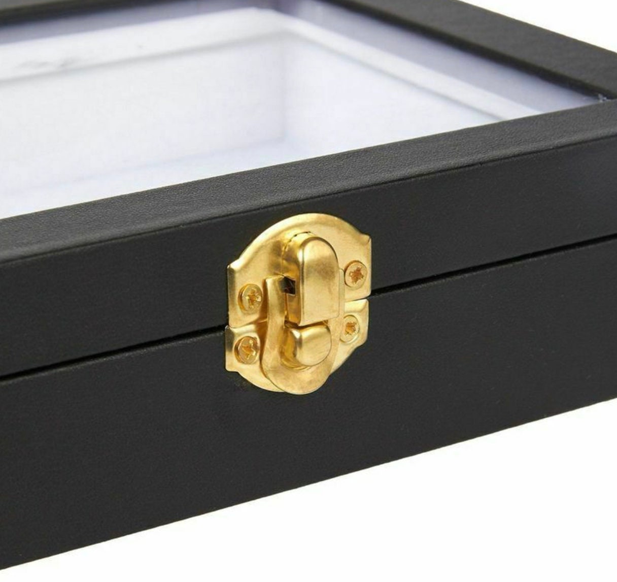 Insect Display Case Bug Display Box With Glass Window and Secure Riker ...