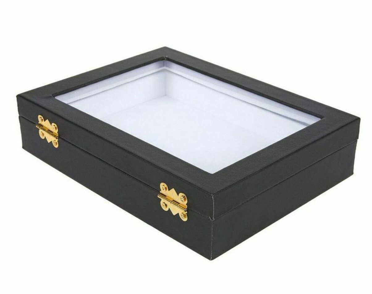 Insect Display Case Bug Display Box With Glass Window and Secure Riker ...