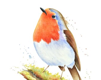 European Robin Painting - Etsy
