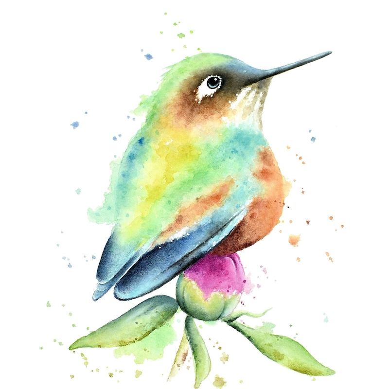 Hummingbird Water Color - Etsy