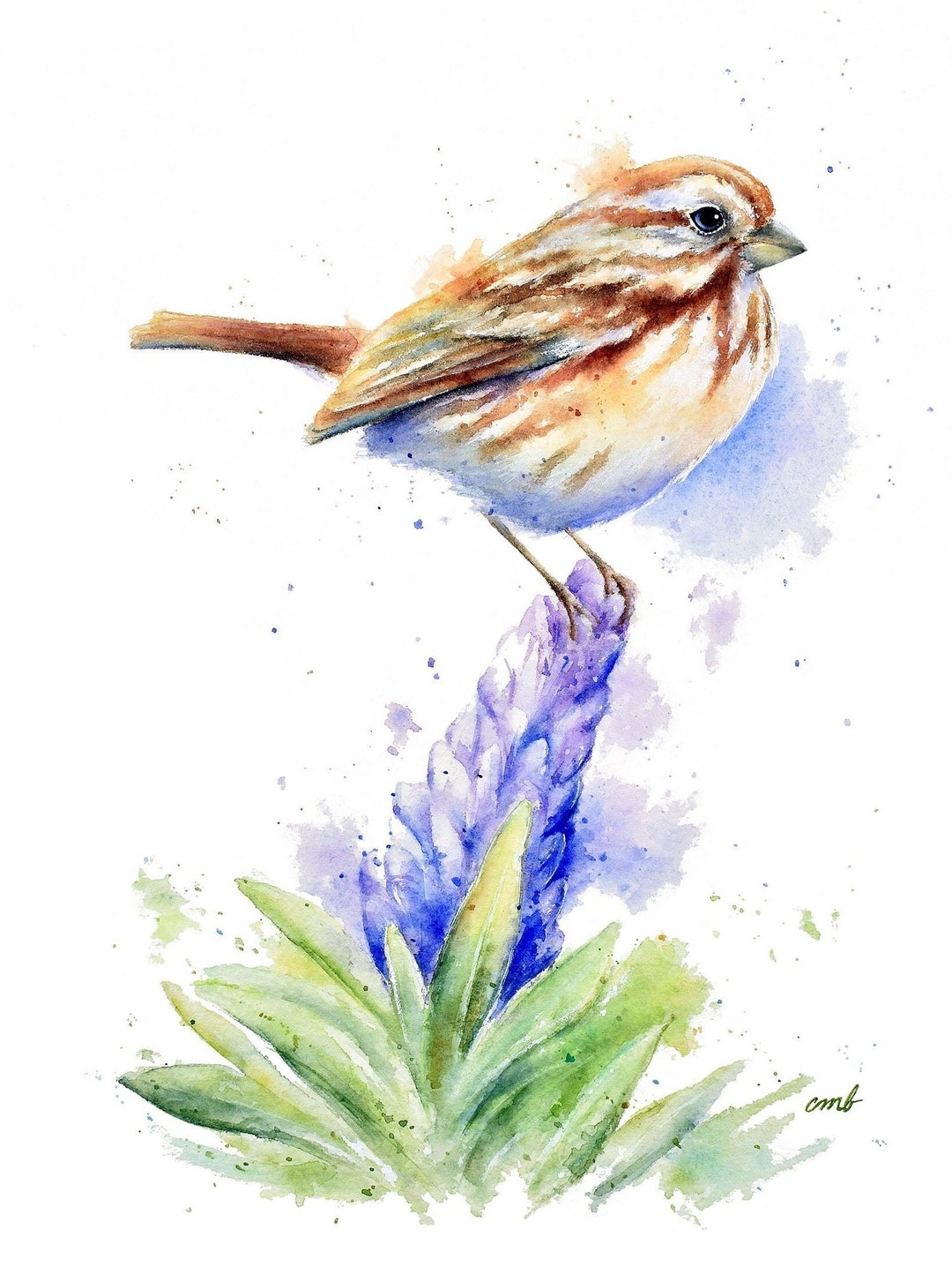 Sparrow Watercolor Print Bird Watercolor Painting Bird - Etsy