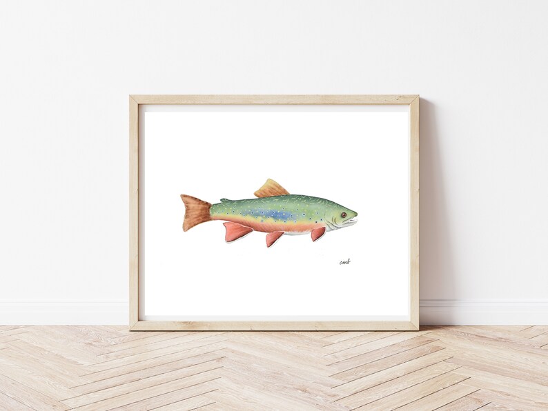 Rainbow Trout Art Fish Watercolor Trout Print Fish - Etsy