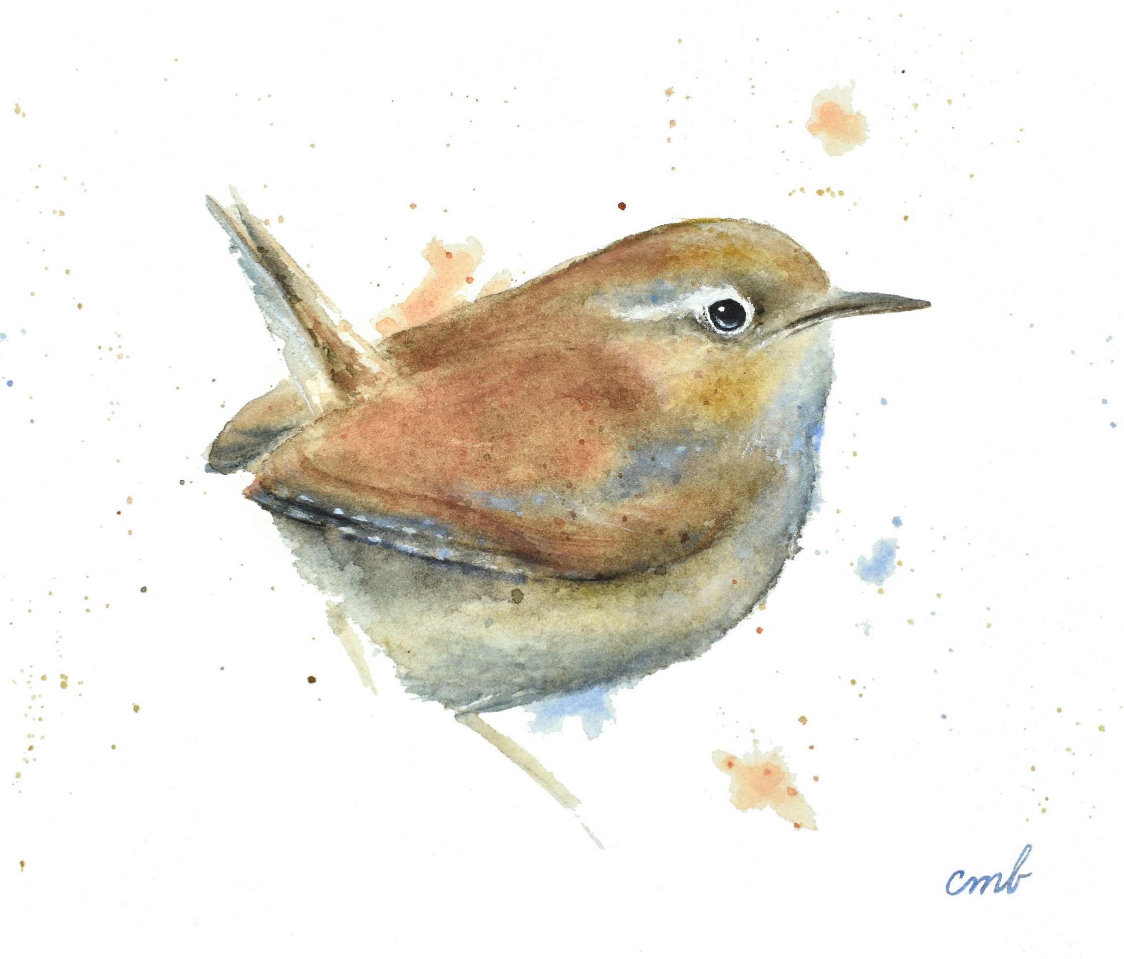 Watercolor Wren Watercolor by Christy Barber Wren Giclee Print Wren ...