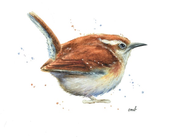 Watercolor Wren Watercolor by Christy Barber Wren Giclee Print Wren ...