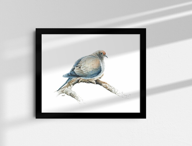 Mourning Dove Watercolor Print: Cabin Mountain Home Wall Art - Etsy