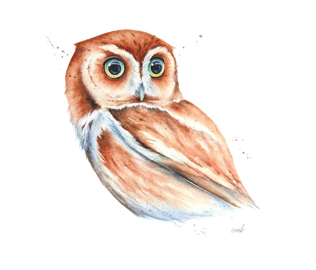 Owl Watercolor Painting by Christy Barber | Screech Owl Painting, Tiny ...
