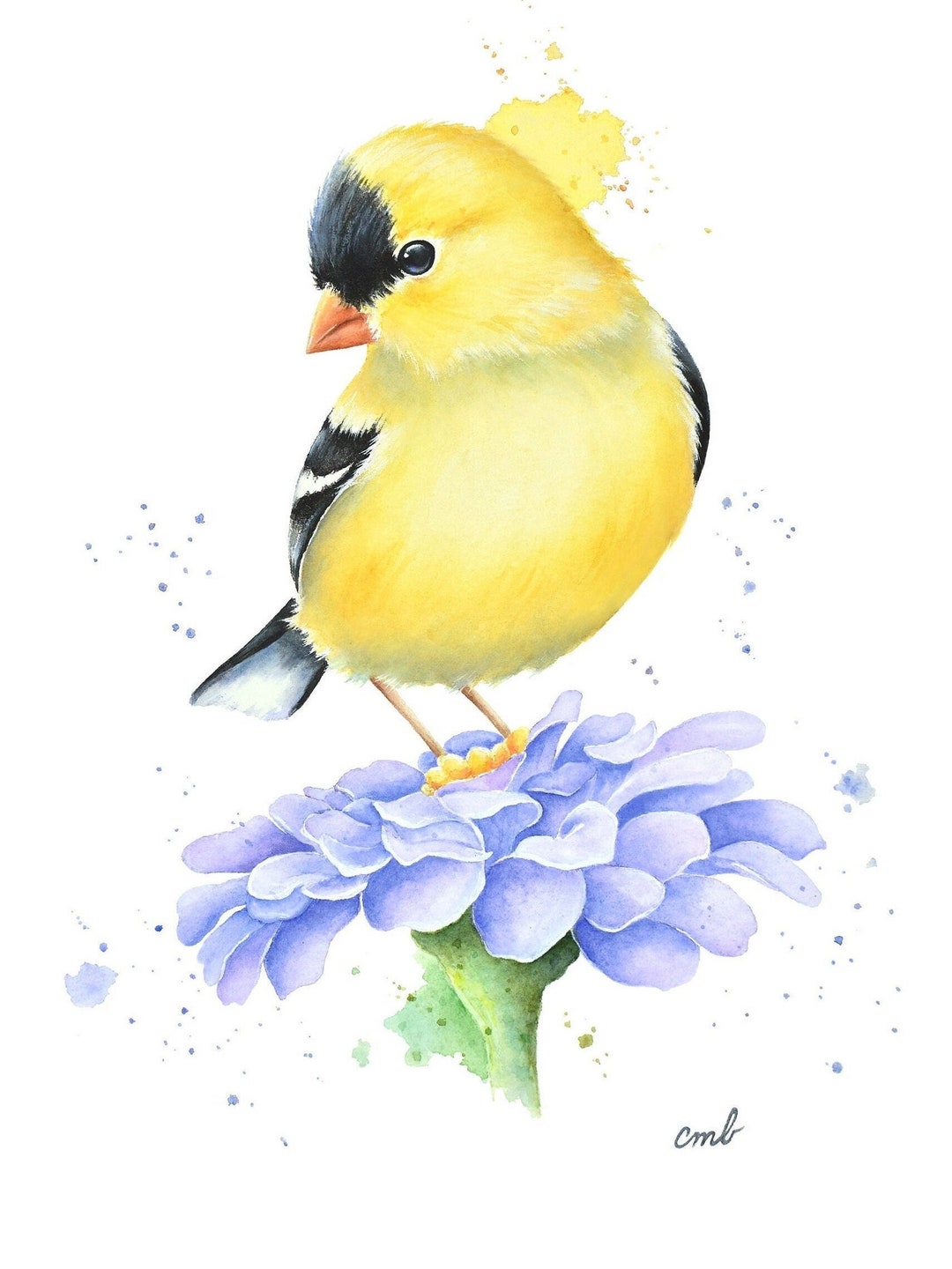 Finch Painting by Christy Barber American Goldfinch Watercolor Print ...