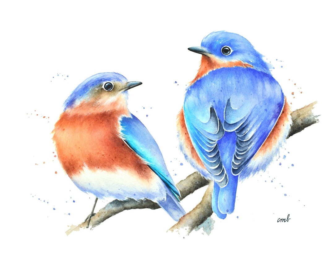 Bluebird Couple Watercolor Painting by Christy Barber |bluebird Print ...