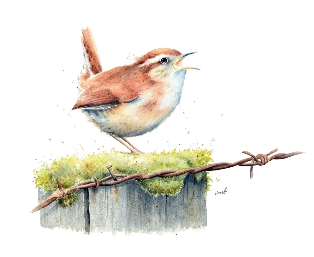 Wren Watercolor Wren Painting, Wren Art, Bird Painting, Bird Print ...