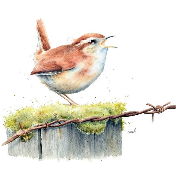 Wren Print - Etsy