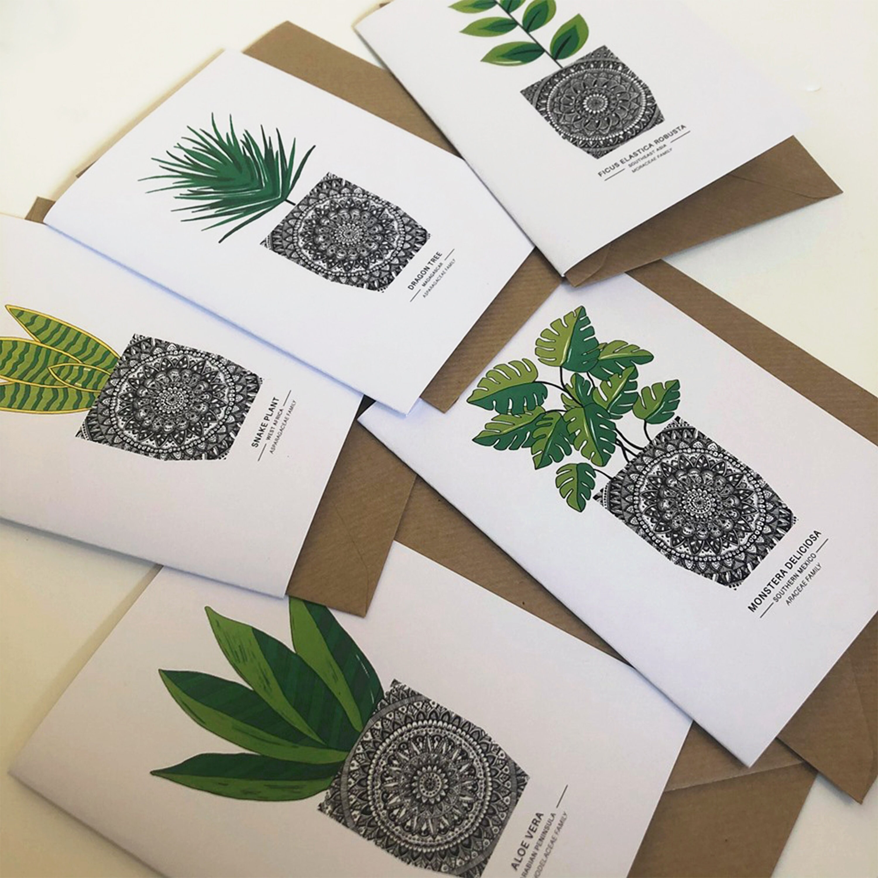 1x Plant Card, Blank Print Cards, Single Plant Card, Plant Notelets, A6 ...