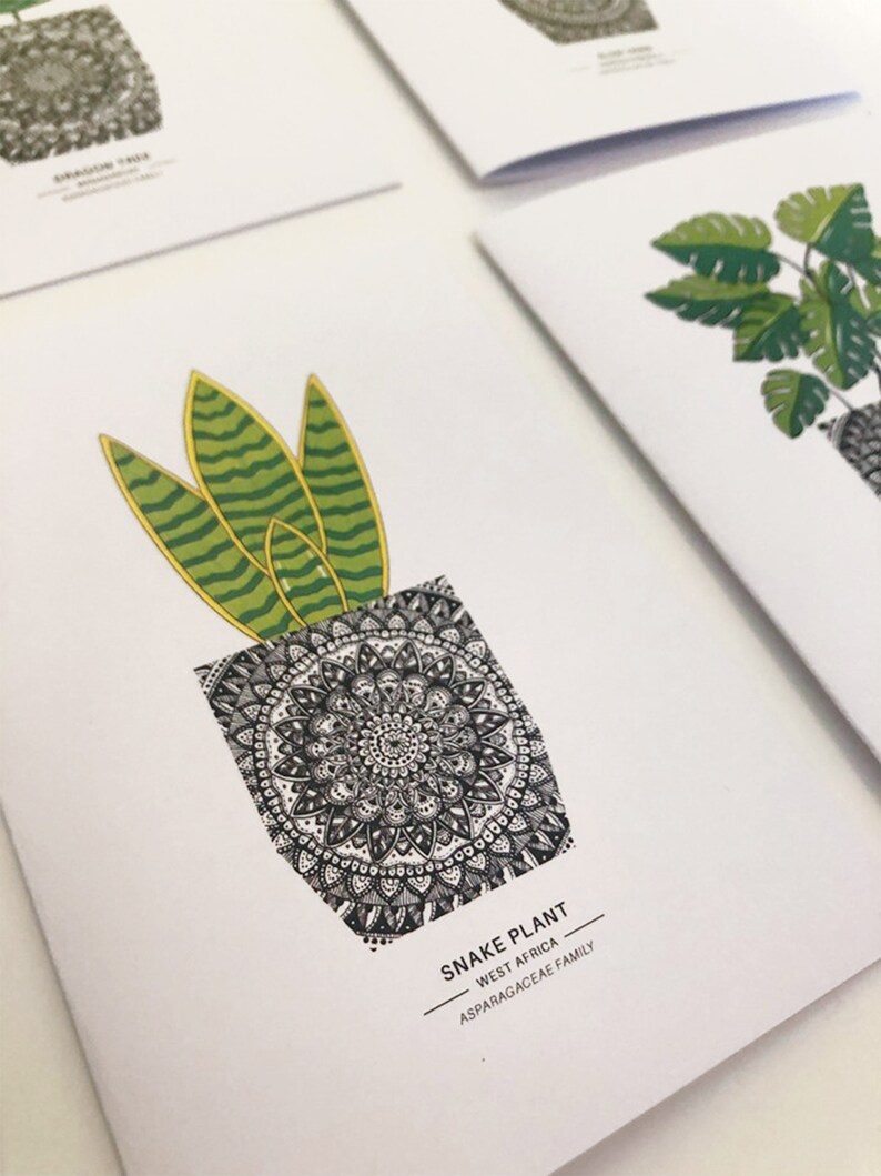 1x Plant Card, Blank Print Cards, Single Plant Card, Plant Notelets, A6 ...