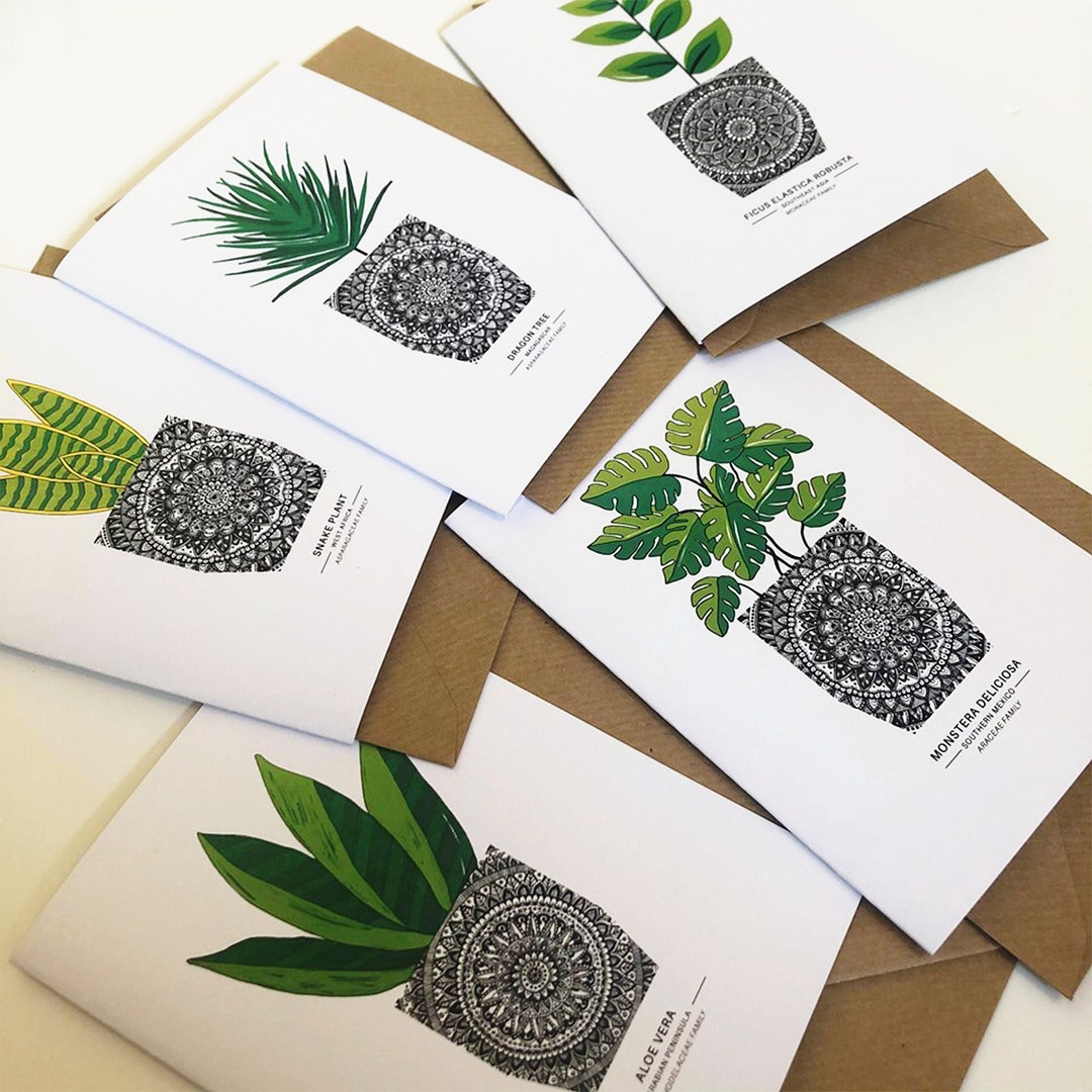 Pack of Plant Cards Blank Print Cards Pack of Greeting - Etsy