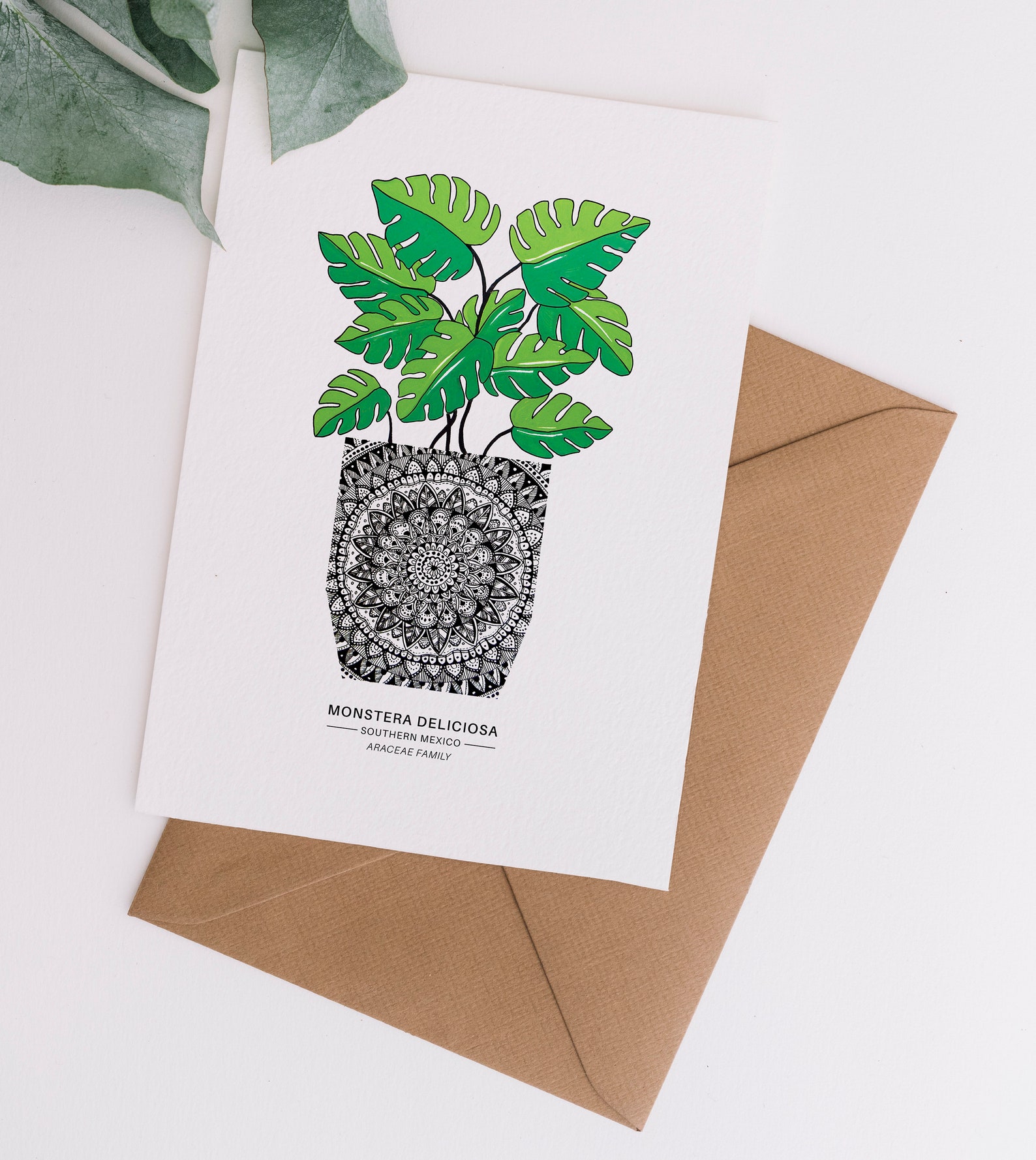 1x Plant Card, Blank Print Cards, Single Plant Card, Plant Notelets, A6 ...