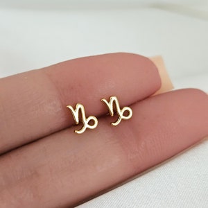Zodiac Capricorn Earring Studs in Sterling Silver Celestial Jewelry ...