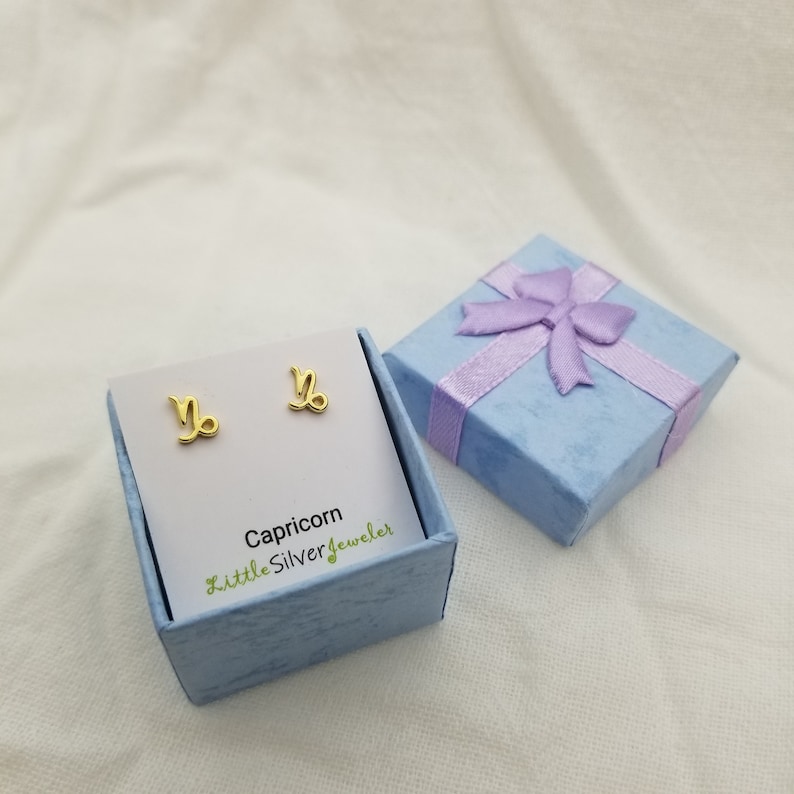 Zodiac Capricorn Earring Studs in Sterling Silver Celestial Jewelry ...