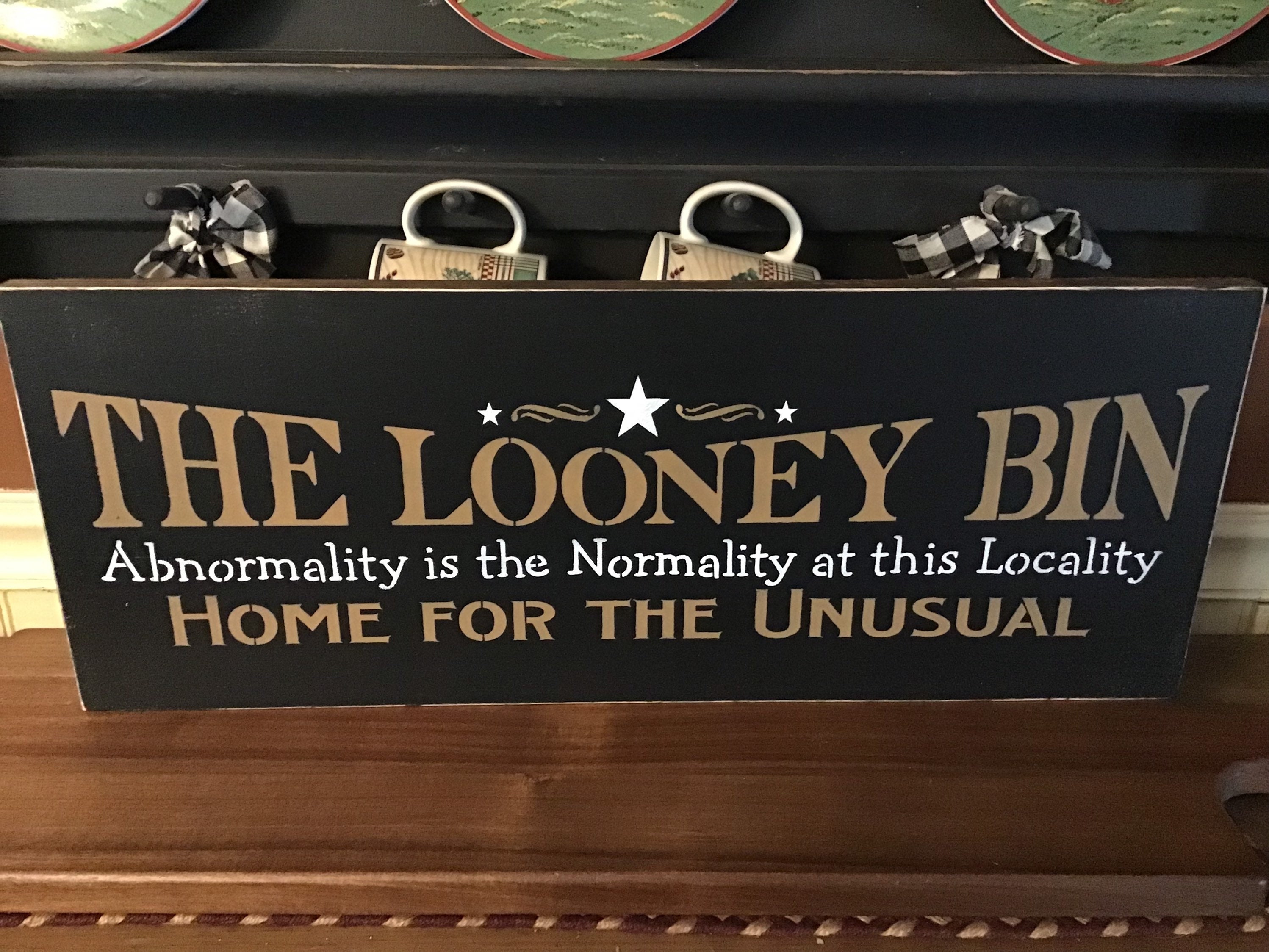 The Looney Bin Humorous Wood Sign 10 X 24 - Etsy