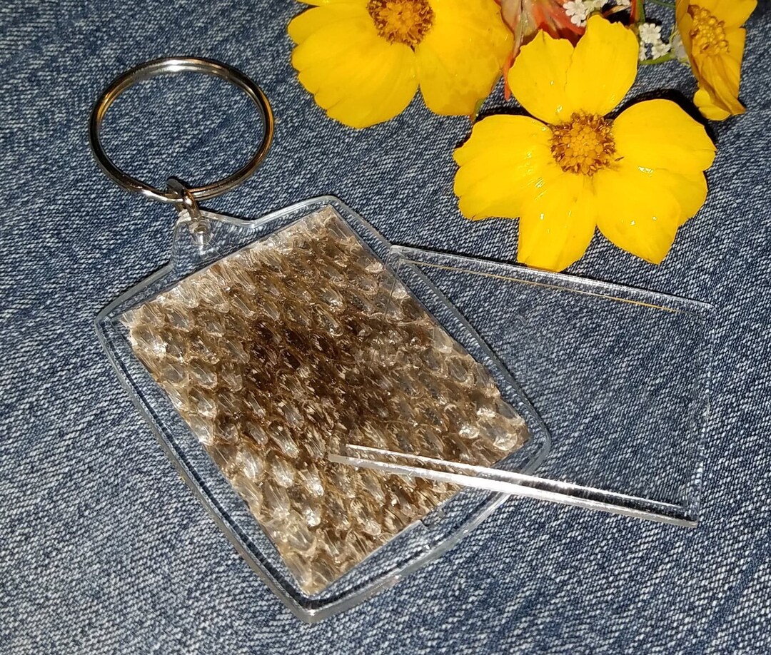 Western Diamondback Rattlesnake Shed Skin Acrylic Photo Key Chain - Etsy