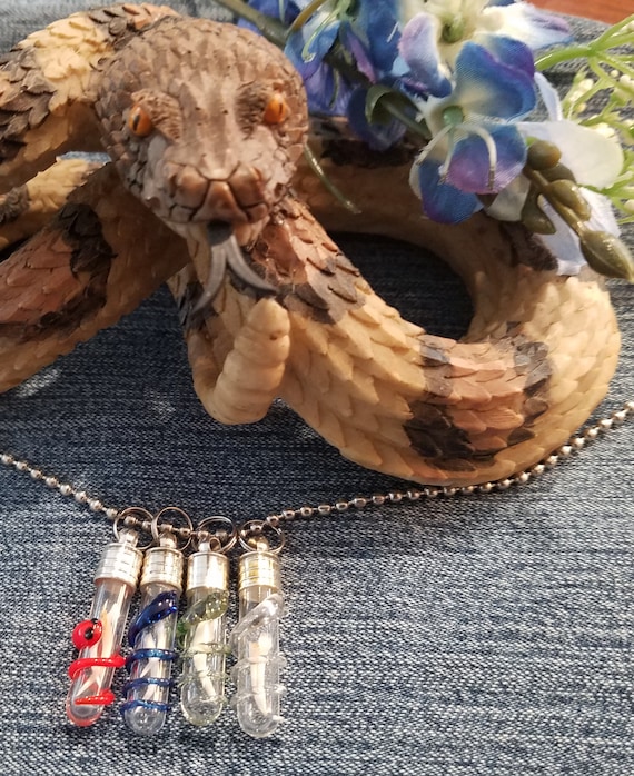Western Diamondback Rattlesnake Fangs in Glass Vial Pendant | Etsy