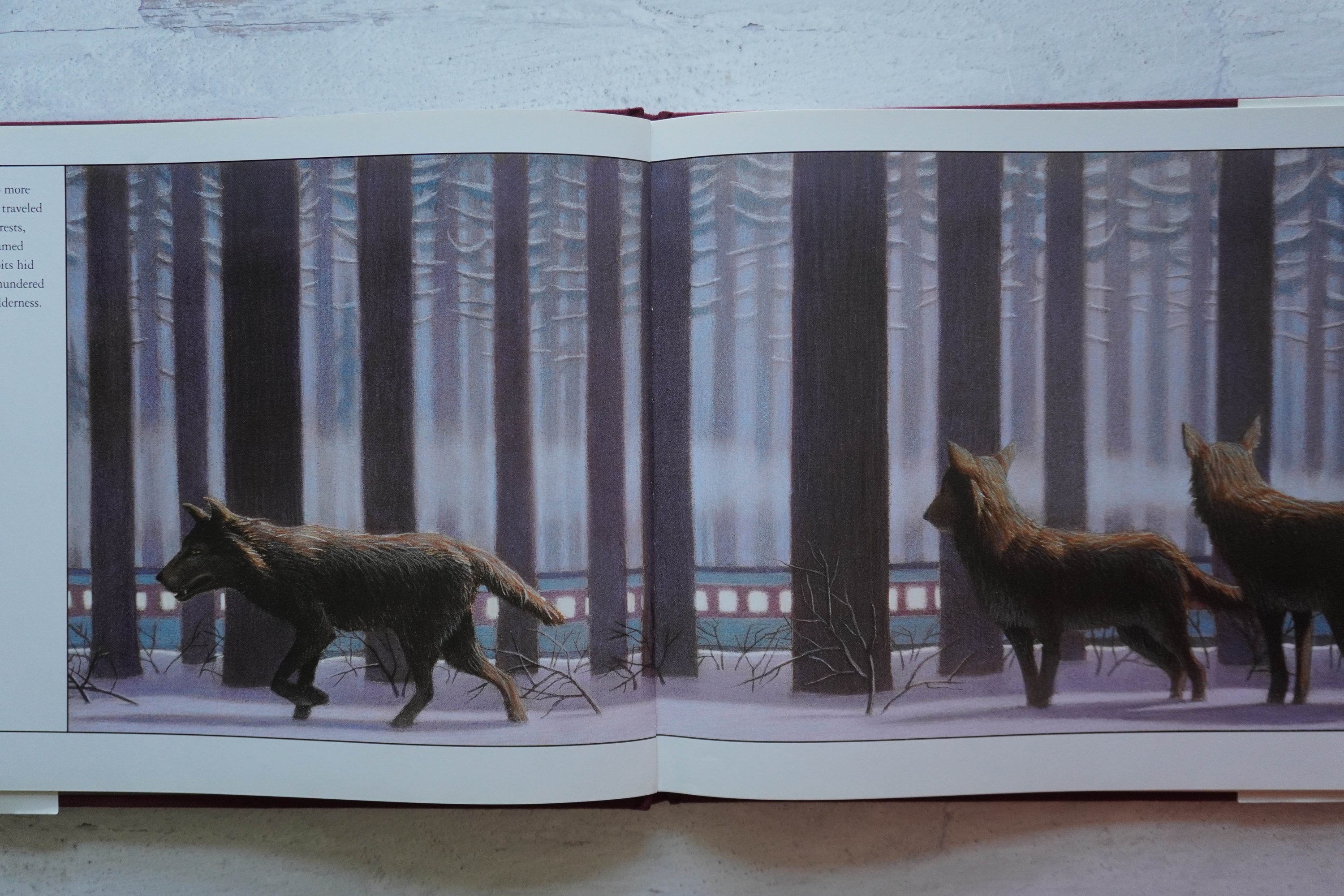 The Polar Express, Vintage Children's Book, Christmas Book, Kid's Book ...