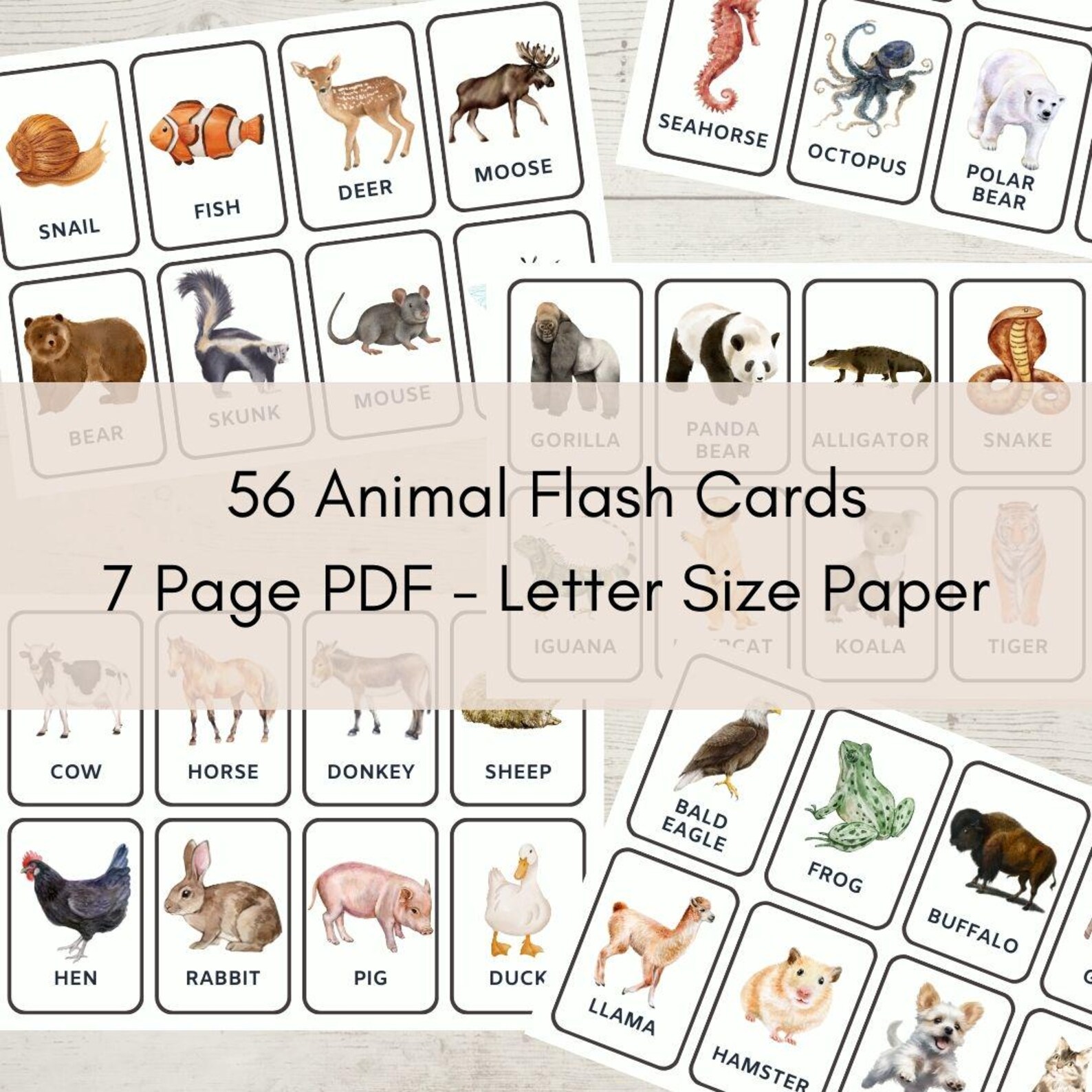Animal Flash Cards | Printable Cards, Montessori Flash Cards, Pre ...
