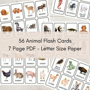 Animal Flash Cards Printable Cards, Montessori Flash Cards, Pre-school ...