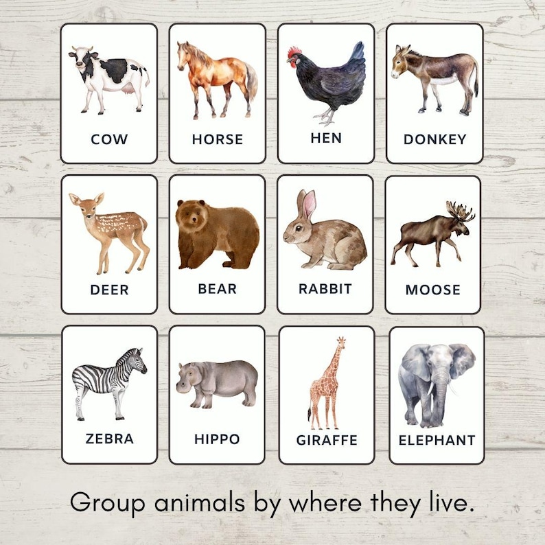 Animal Flash Cards | Printable Cards, Montessori Flash Cards, Pre ...