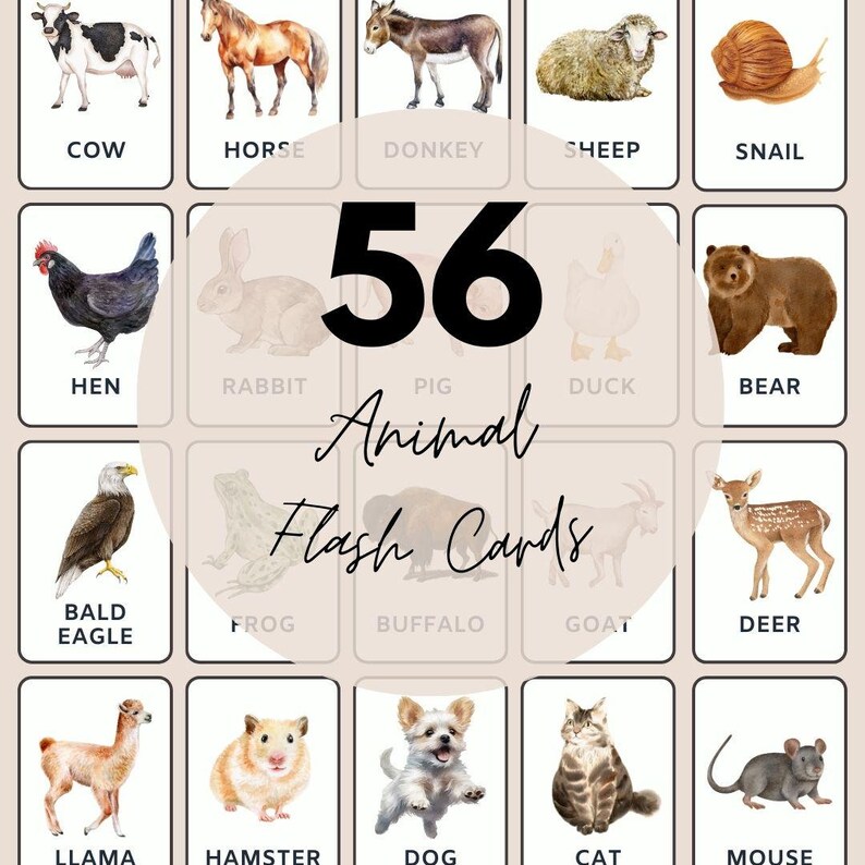 Animal Flash Cards | Printable Cards, Montessori Flash Cards, Pre ...