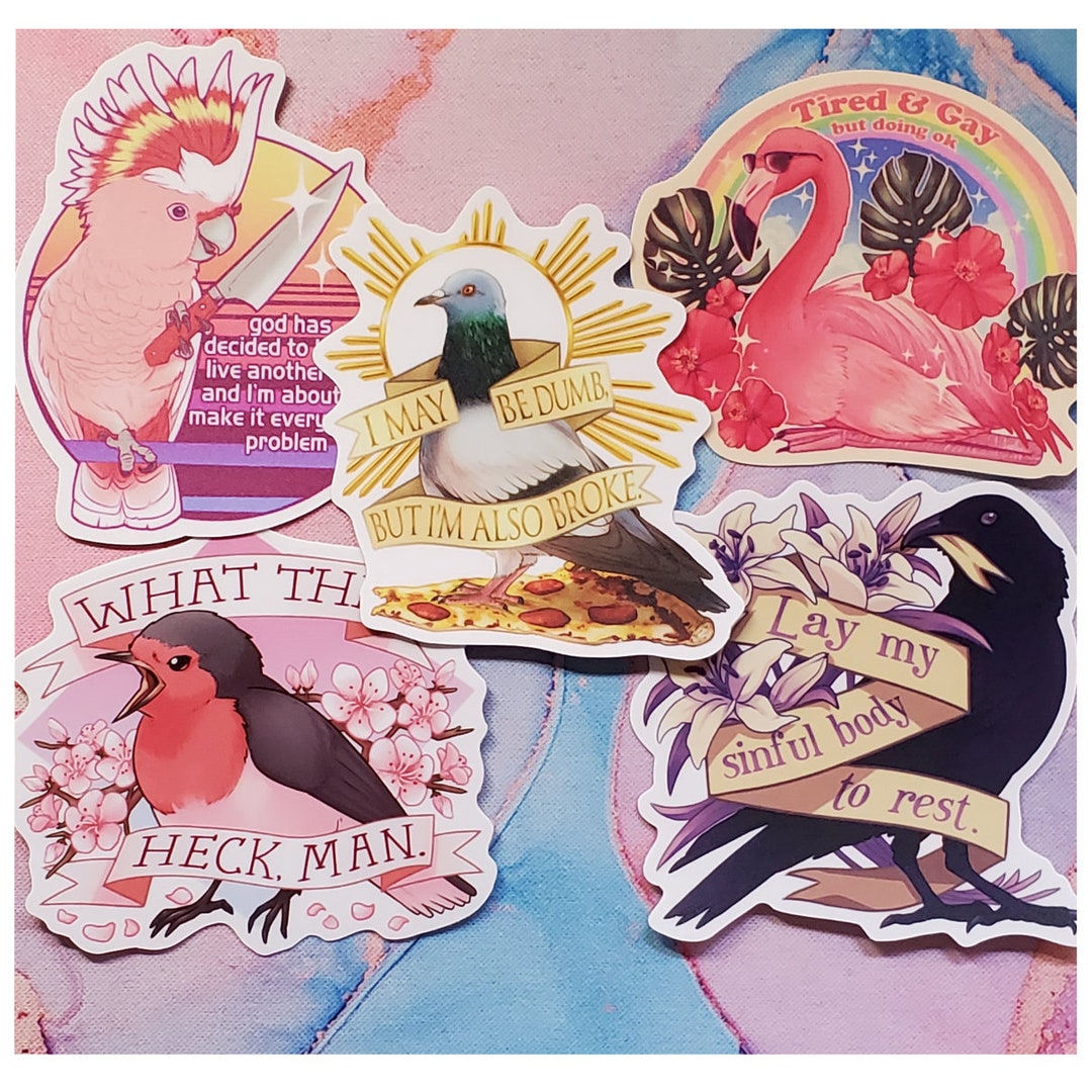 Sassy Birds Vinyl Stickers - Etsy